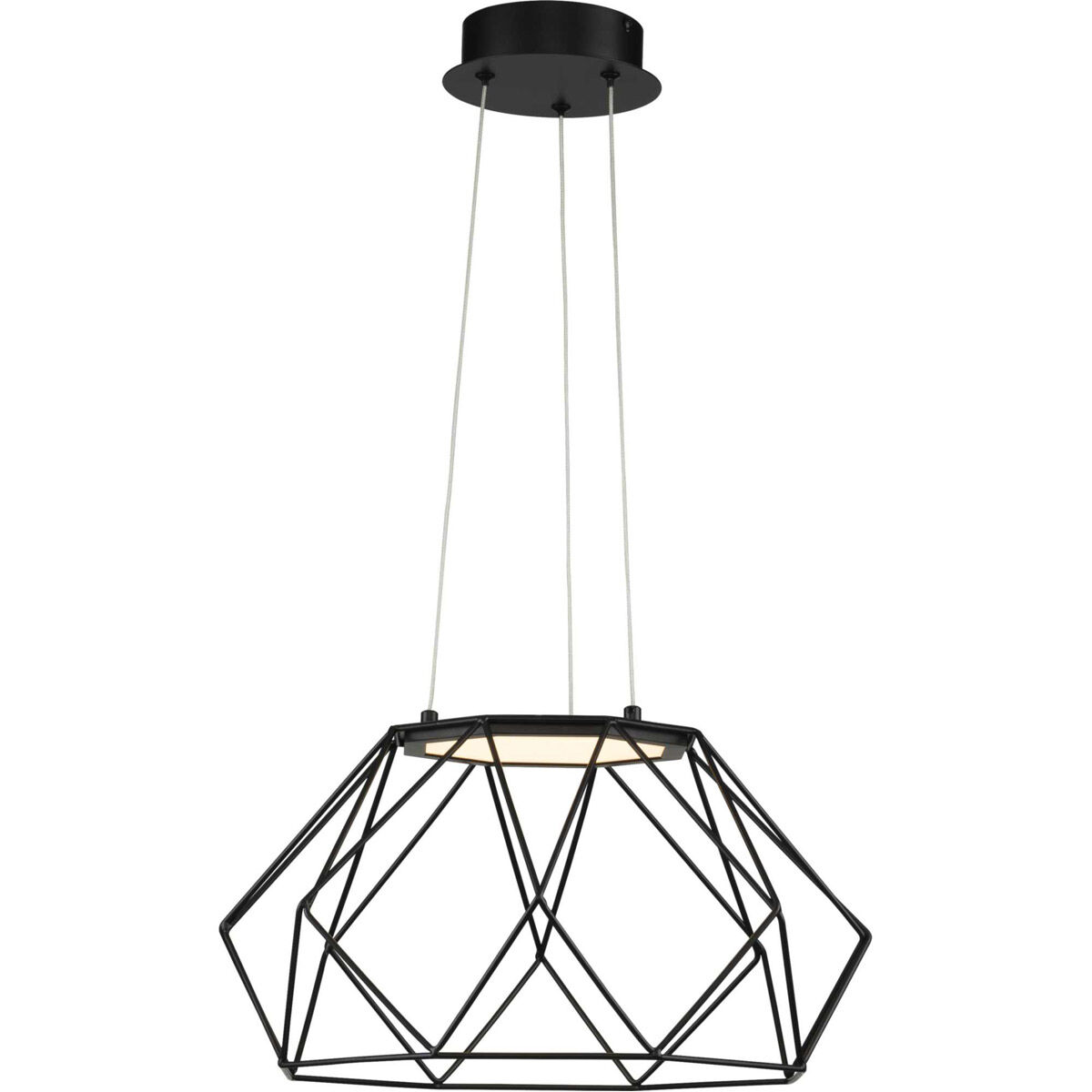 Progress P500319-031-30 Geodesic LED LED 18 inch Matte Black Pendant ...
